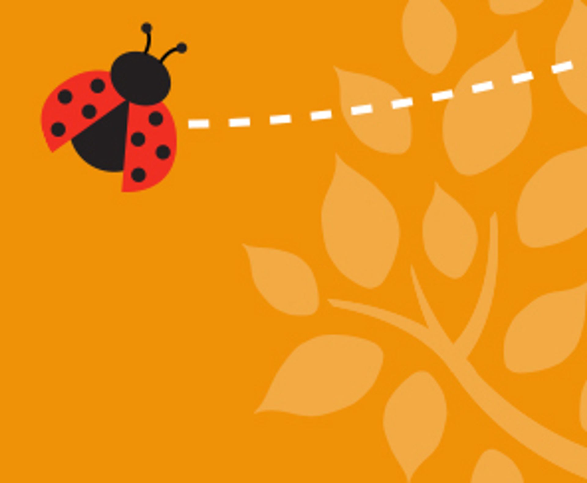 Home | Greave Primary School