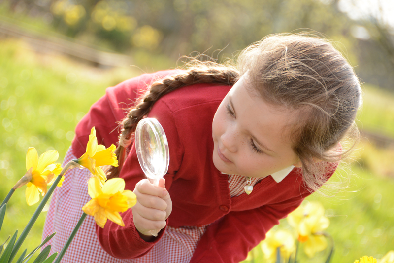 HOME | Springhead Primary School