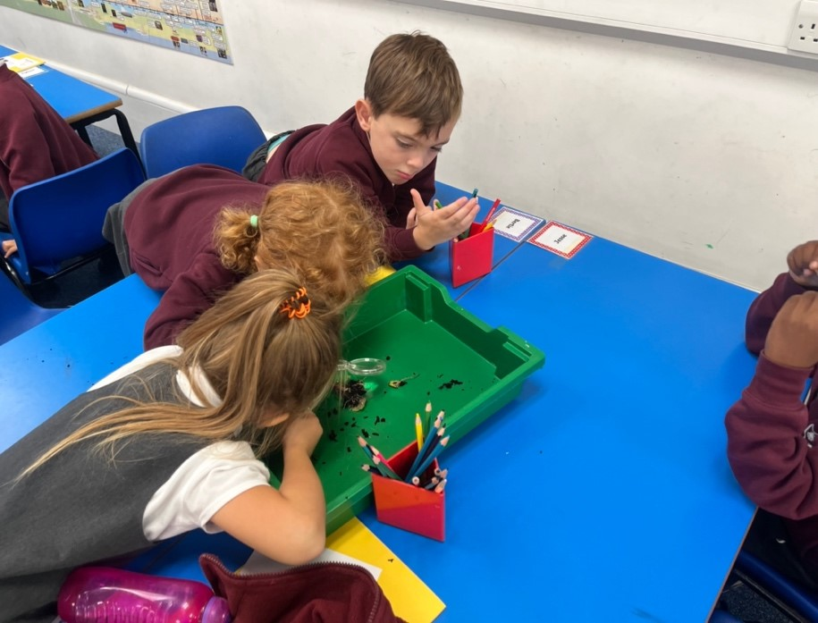 Year 1 | St James CofE Primary School