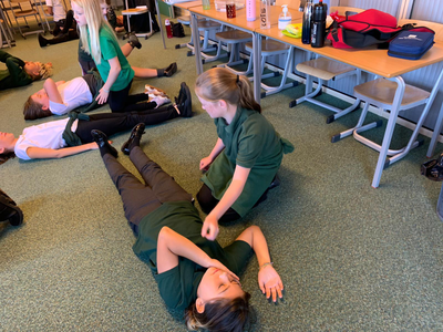 First Aid Training - Diligent Dinosaurs | Greenfield Primary School