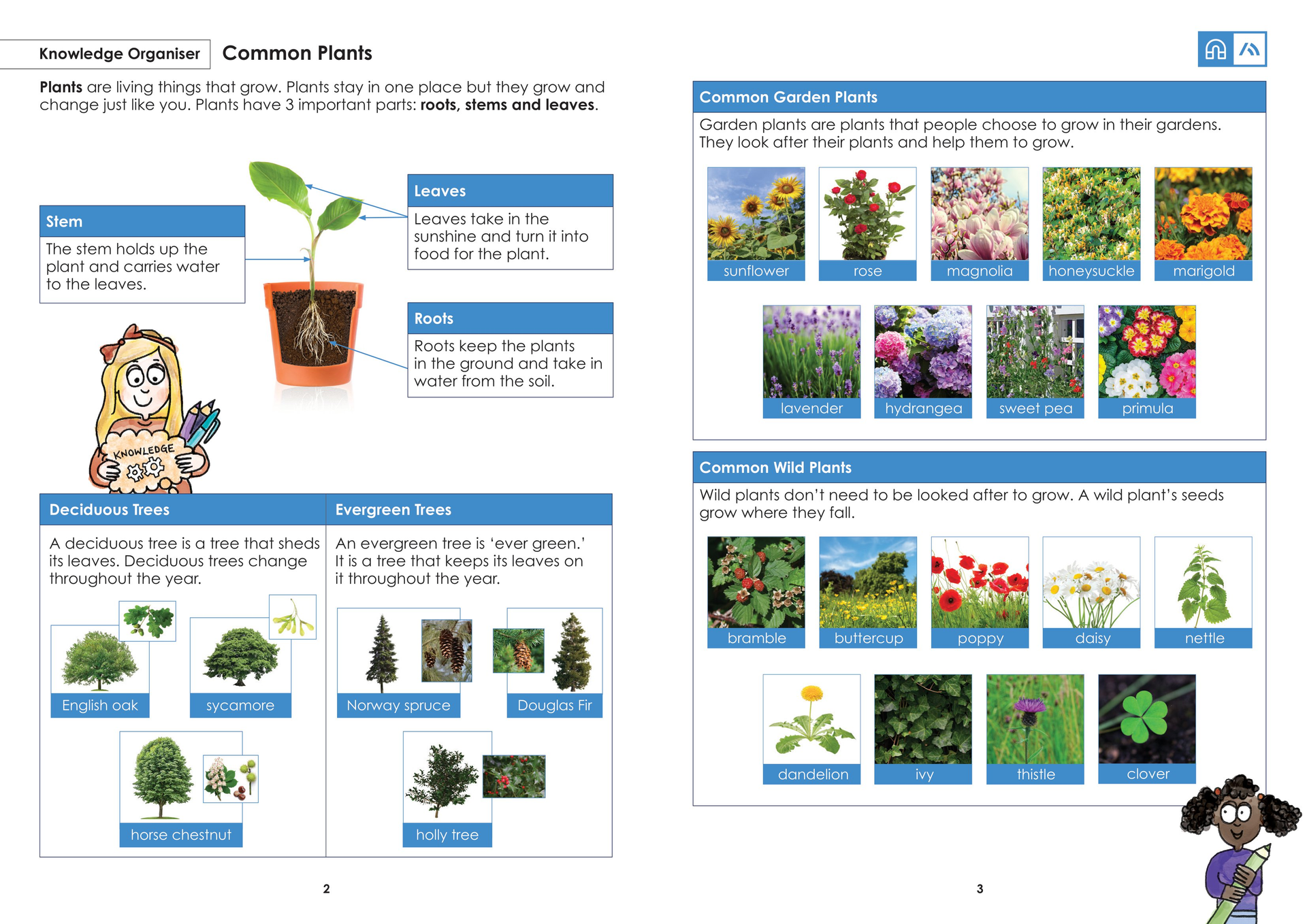 Curriculum Knowledge Organisers | Hawthorn Primary School