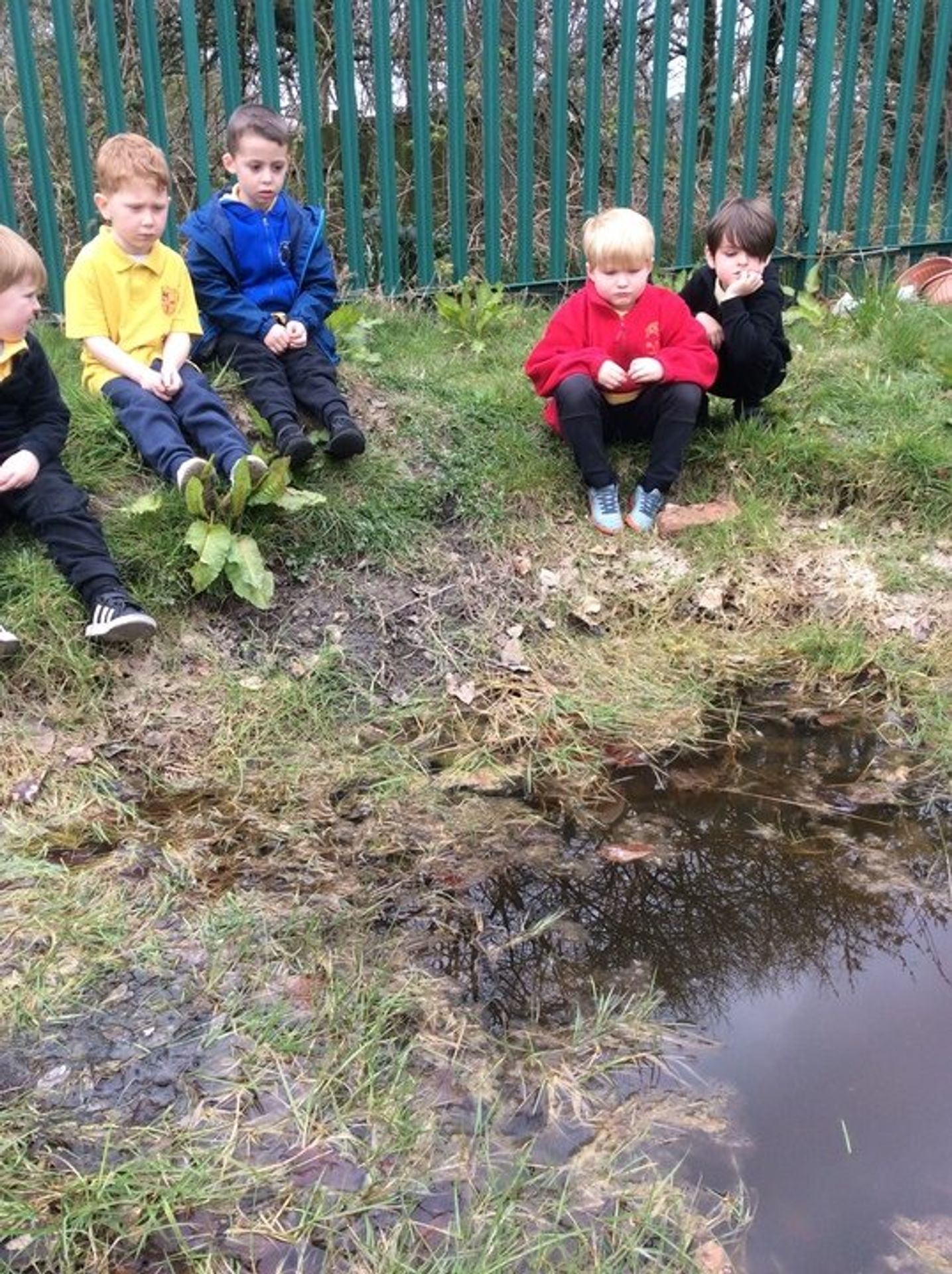 Forest School | St Paul's C.E Primary School