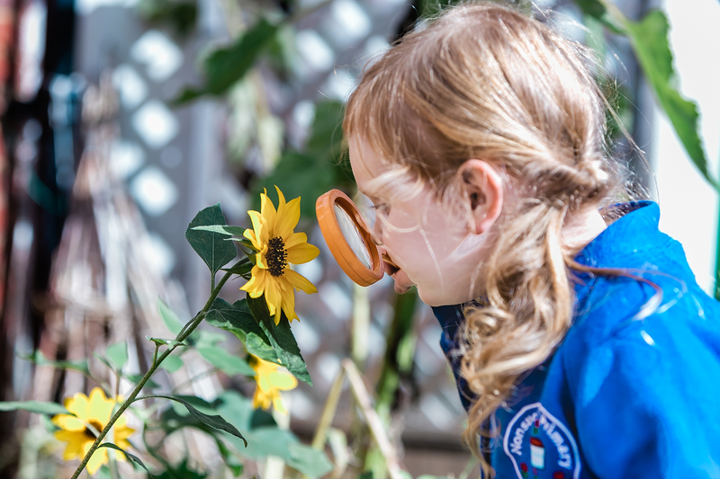 Home | Nonsuch Primary School