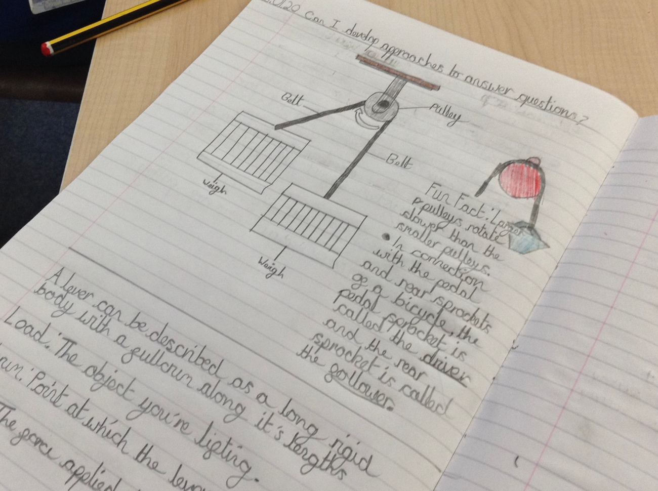 Science | Ferring Church of England Primary School