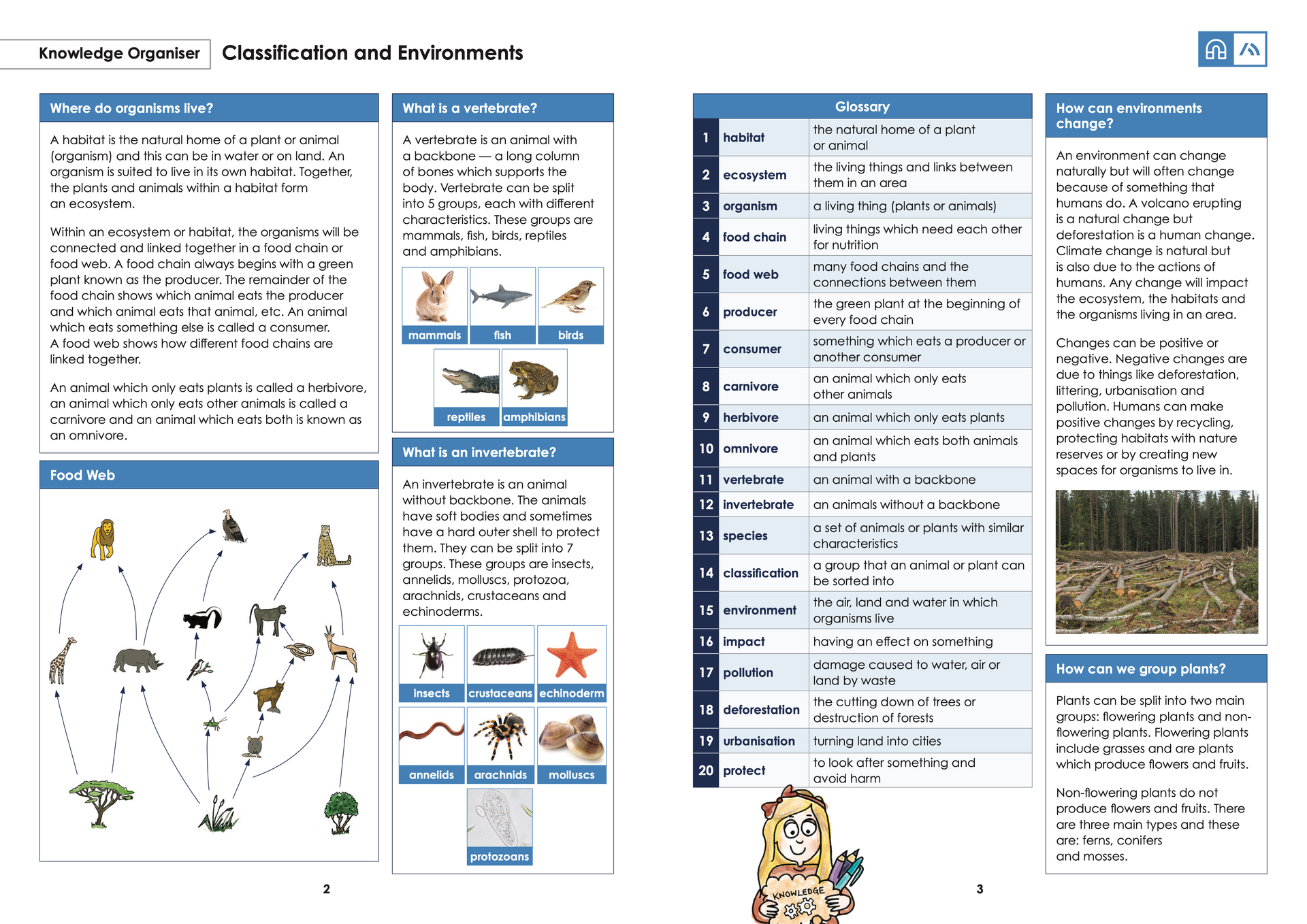 Curriculum Knowledge Organisers | Hawthorn Primary School