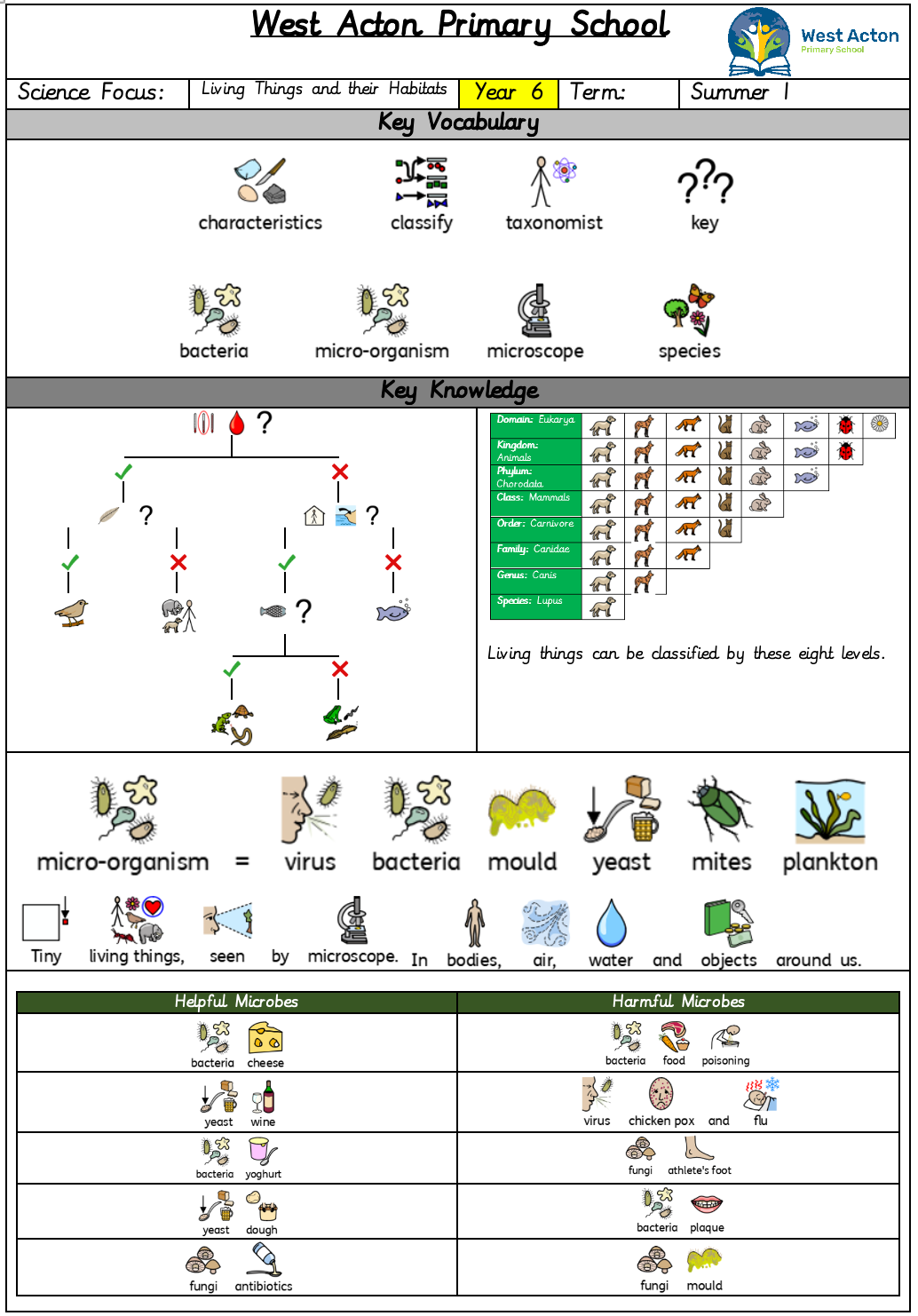 Year 6 | West Acton Primary School