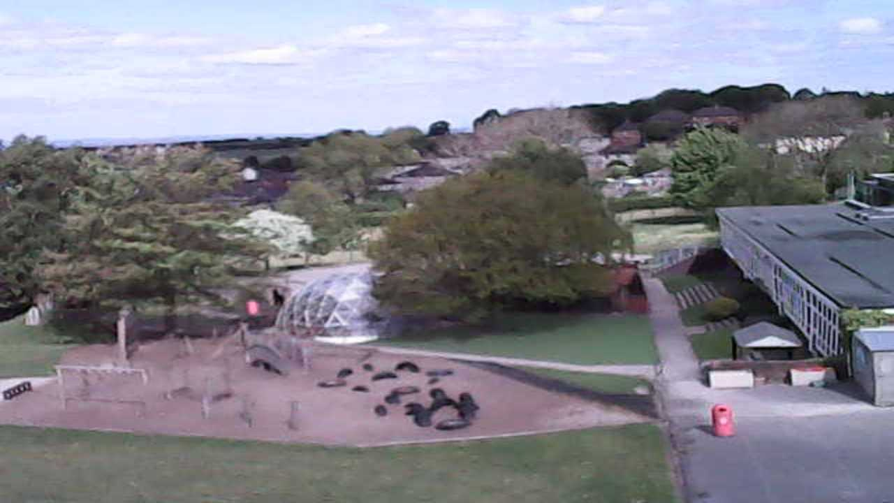 NEWS | Springhead Primary School