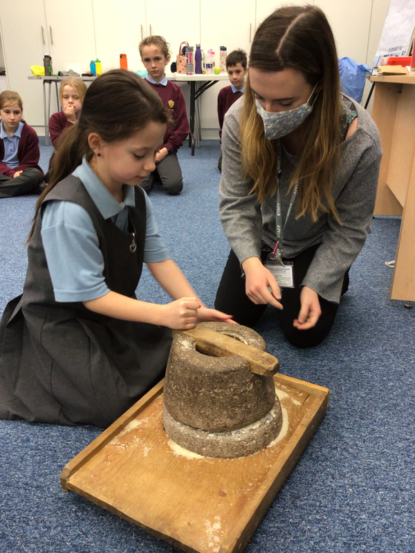 Year 4 | Mary Exton Primary School