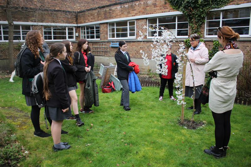 Home | Meols Cop High School