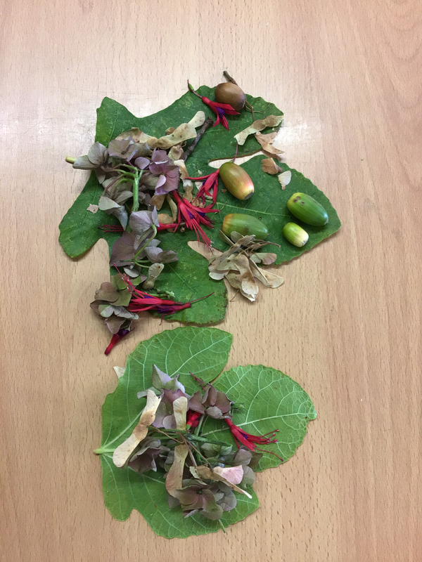 Year 2 | Mary Exton Primary School