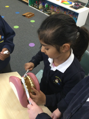 EYFS - Personal Social and Emotional Development | Shield Road Primary ...