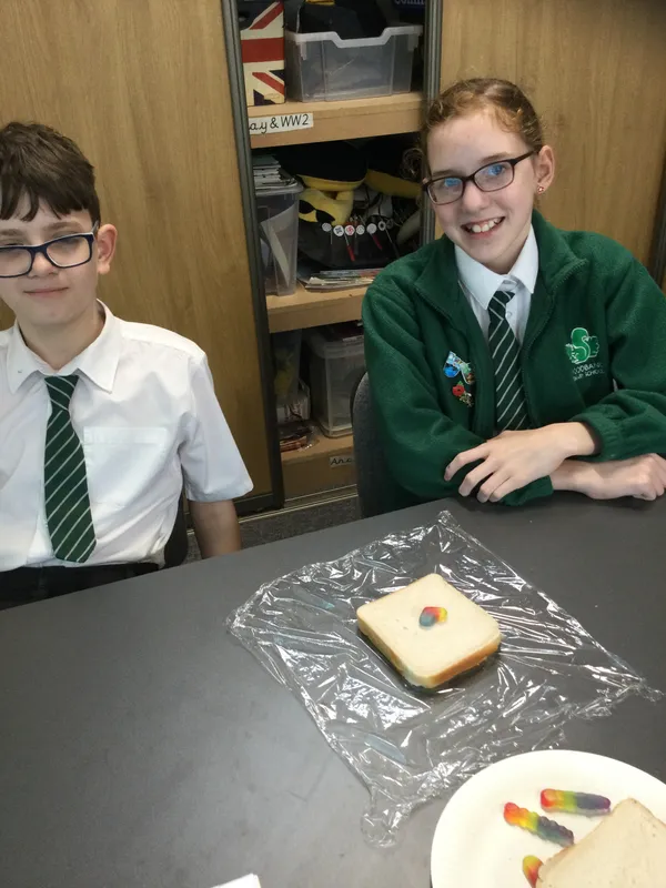 Year 6 Science - fossils | Woodbank Primary School