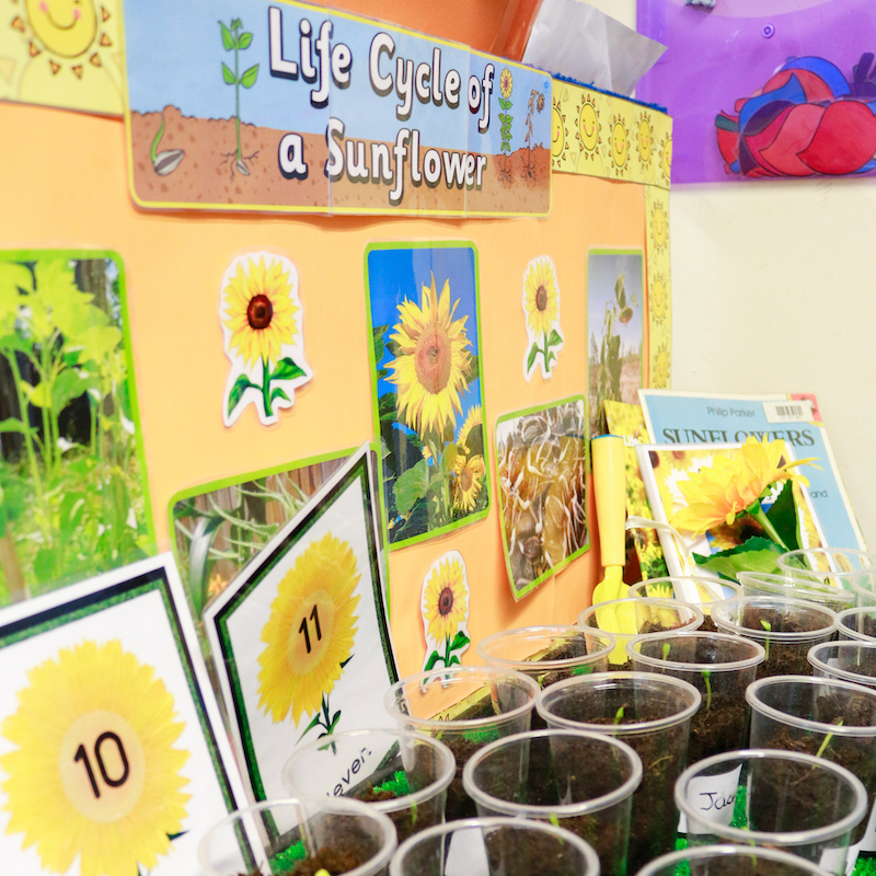 Home | Cornholme Junior, Infant And Nursery School