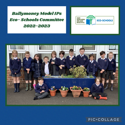 Home | Ballymoney Model Integrated Primary School