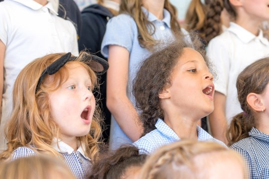 Wider Curriculum | Whitehall Primary School