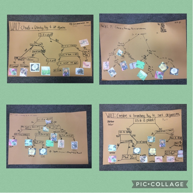 Science | Intake Primary School