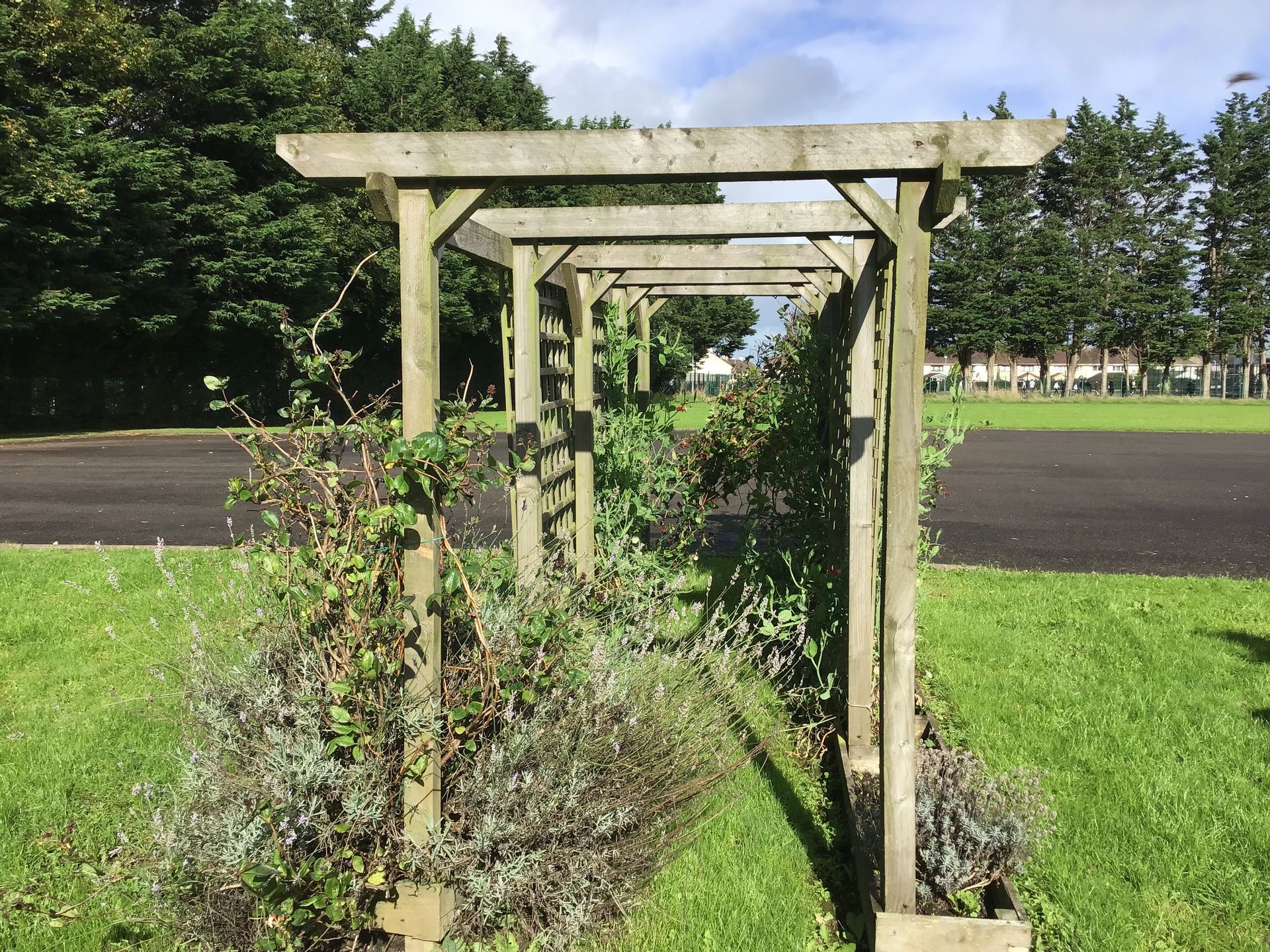 Eco-Schools Committee | Ballymoney Model Integrated Primary School