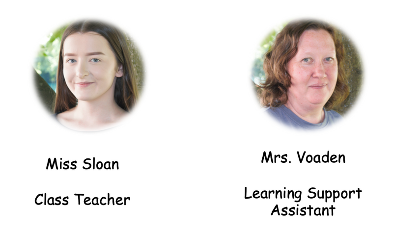 Year 1 - Red Rose class | St Paul's C.E Primary School