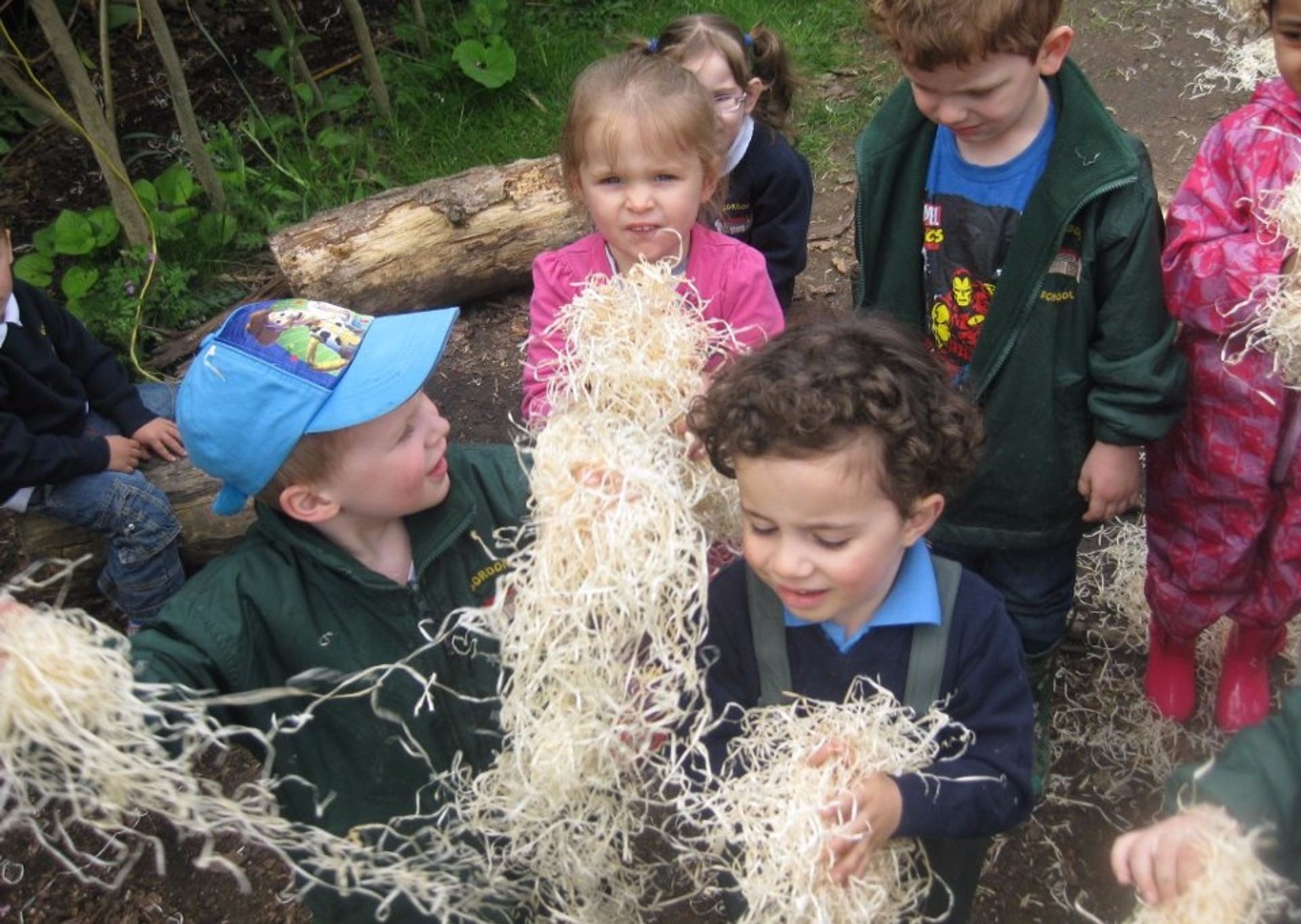 Home | Gordon Primary School