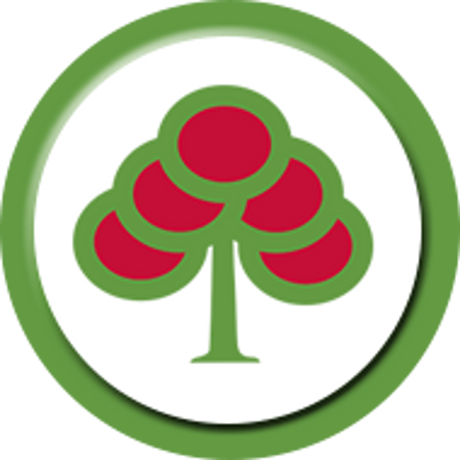 Cherry Tree Academy Trust | Cherry Tree Academy Trust