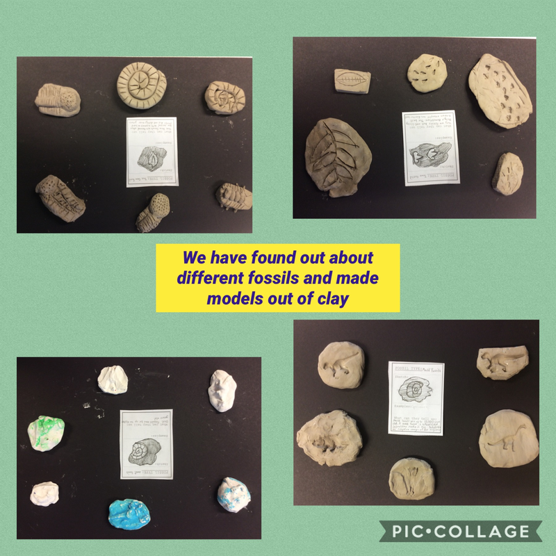 Science | Intake Primary School