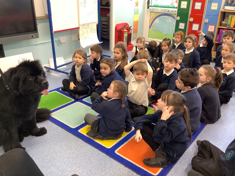 Home | Halton Holegate C of E Primary School