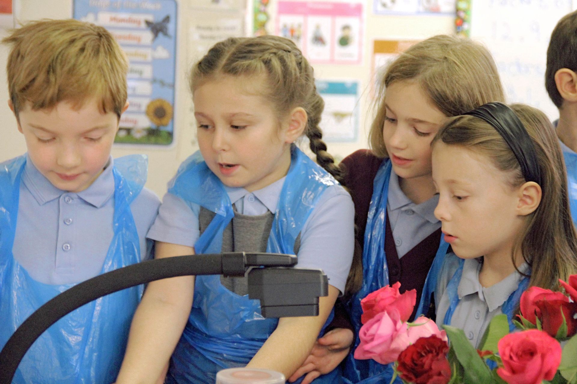 Home | Mary Exton Primary School