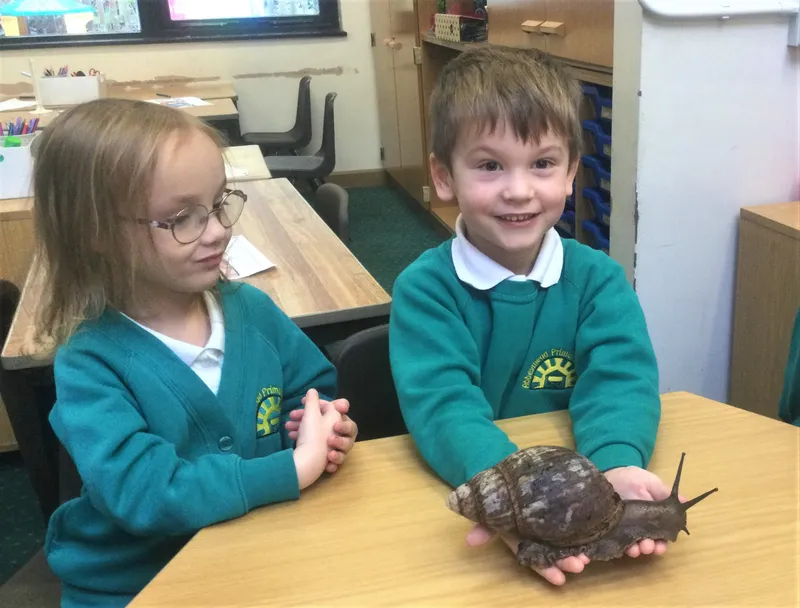Science | Abbeymead Primary School