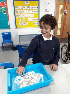 Pre-formal Curriculum | Palmerston School