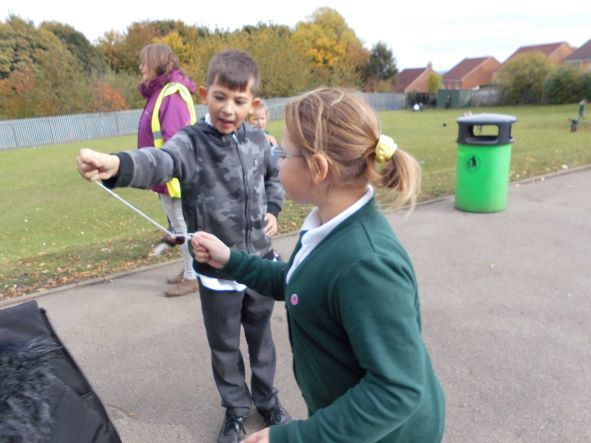 It's Conkers | Greenfield Primary School