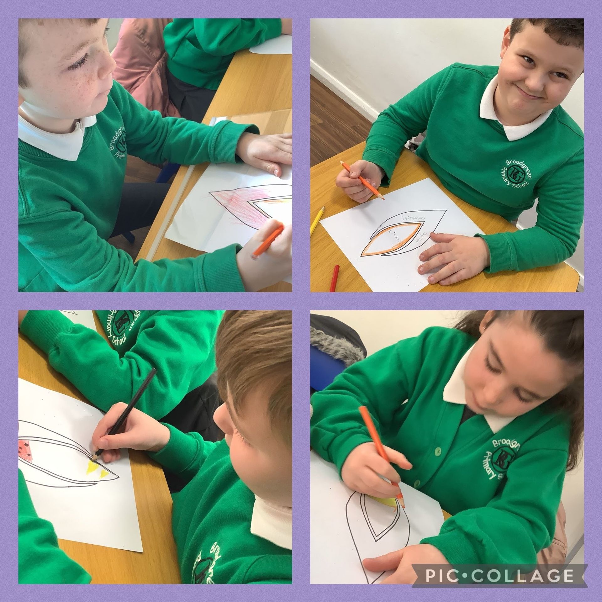 History | Broadgreen Primary School