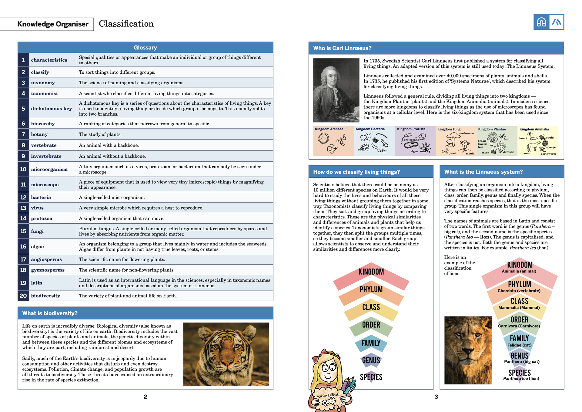 Curriculum Knowledge Organisers | Hawthorn Primary School